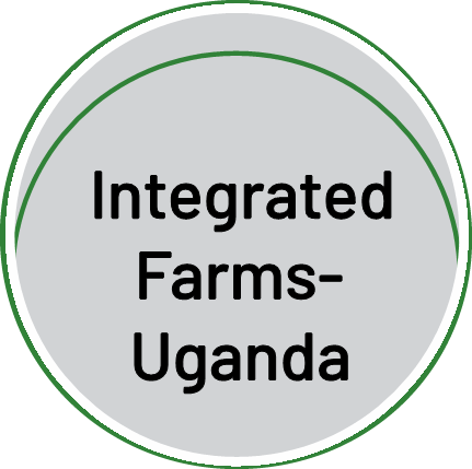 Home - Integrated farms In Uganda